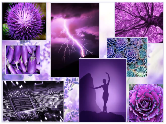 mood-board - Design and Discovery